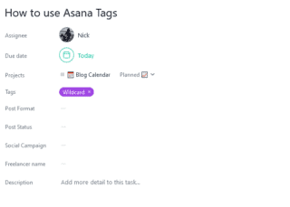 How Asana Tags Keep Your Projects Organized