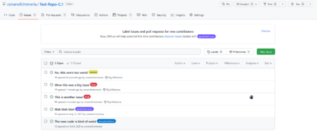 How To Use a Notion-GitHub Integration and Sync in Minutes